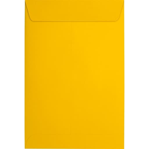 JAM Paper 6 x 9 Open End Envelopes, Sunflower Yellow, 50 Pack (EX1644 ...