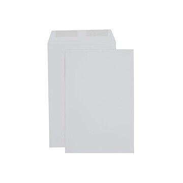 6 x 9 white envelopes | Staples