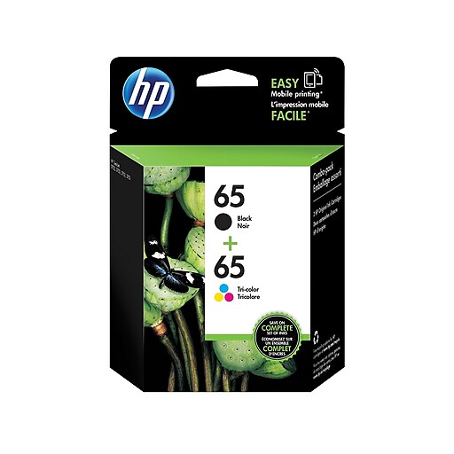 Hp 65 Black 65 Color Ink Cartridges T0a36an 140 Combo 2 Pack At Staples