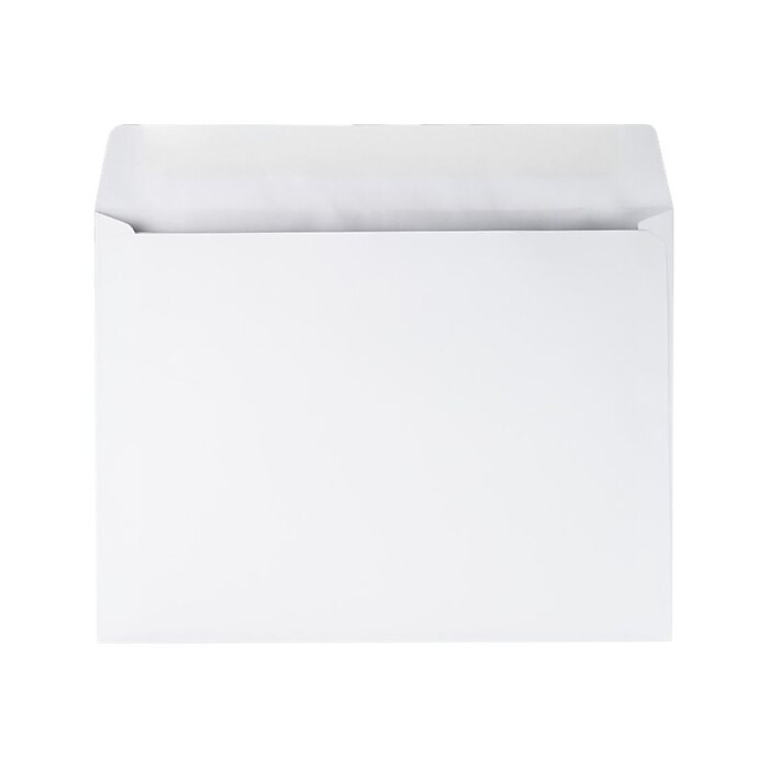 White Booklet Envelopes 250-pack For Mailing Documents 250-Pack 9x12 ...