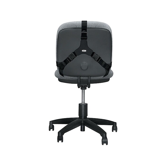 Staples back support for office chair store