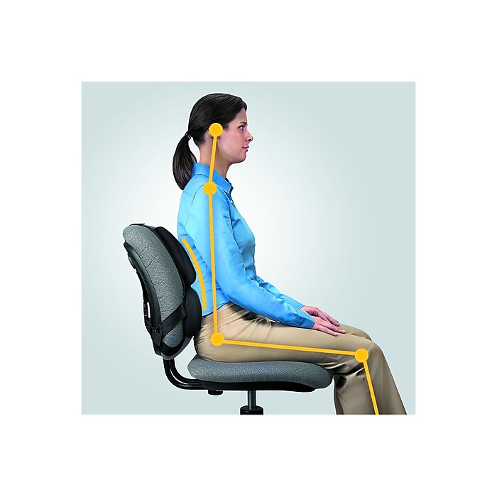 Fellowes Professional Back Support Black 8037601 Staples
