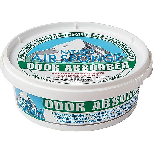 Nature's Air Sponge Odor Absorber (DM-101-6/00001) | Staples