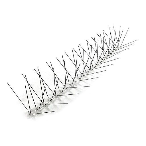 Bird-X Deterrent Steel Spikes, Bird Control, 8"W, 10 ft. Long (EWS-10 ...