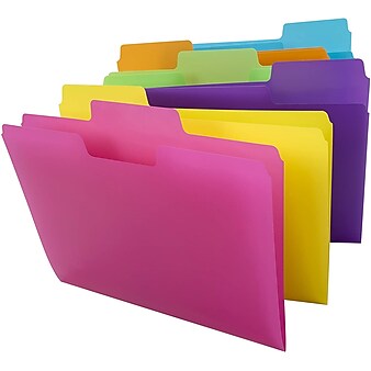 Plastic File Folder | Staples